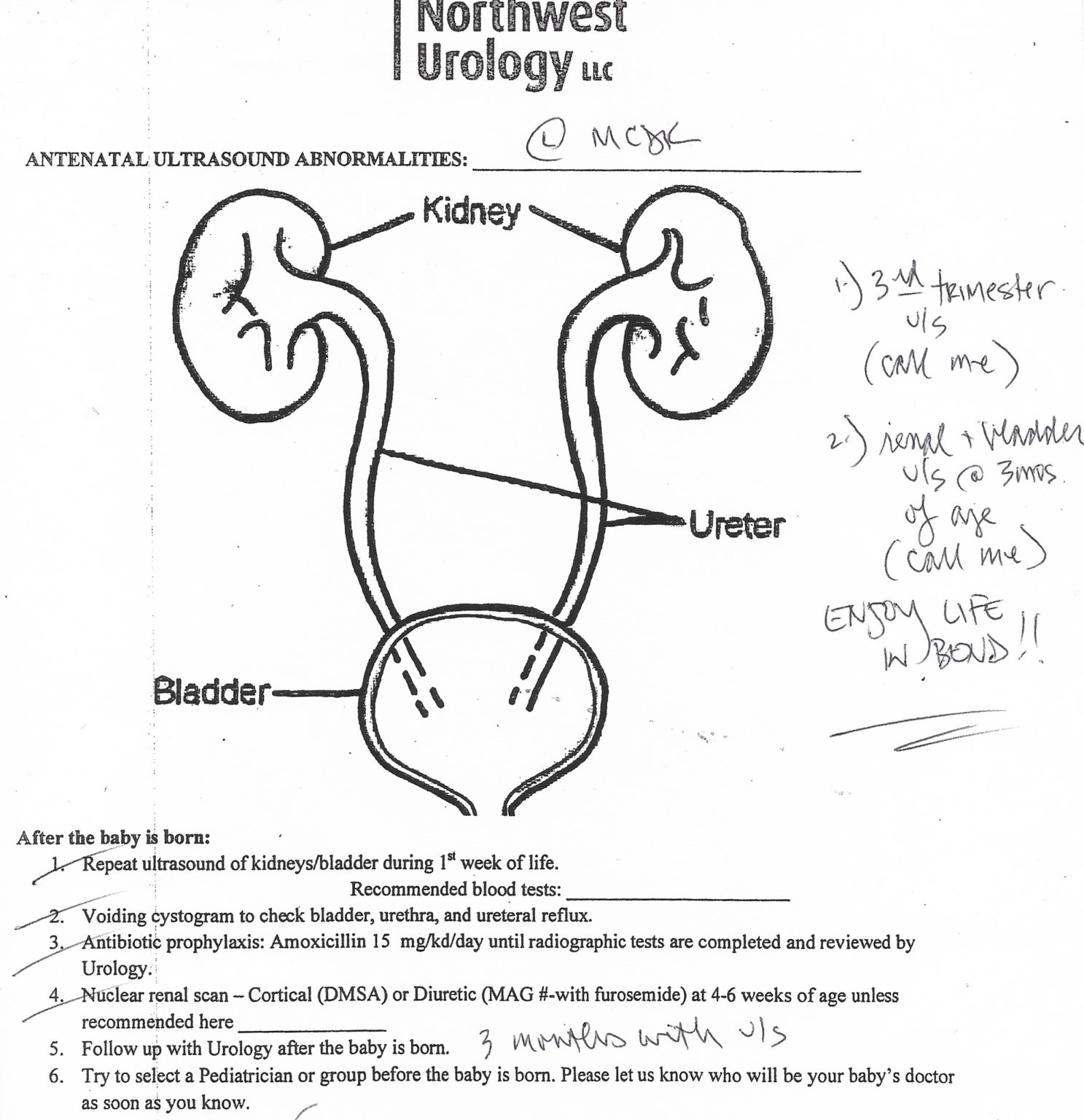 The Beginning of Sweet Pea's Kidney Journey - The Christerbelle Adventures